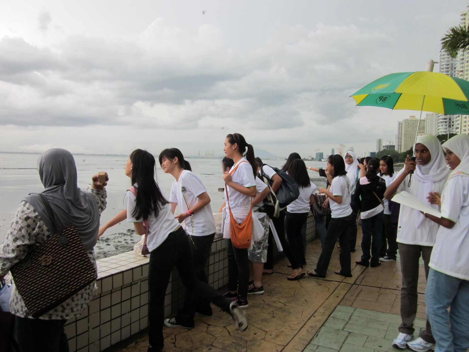 MGS Environmental Blog: Mudball Throwing at Gurney