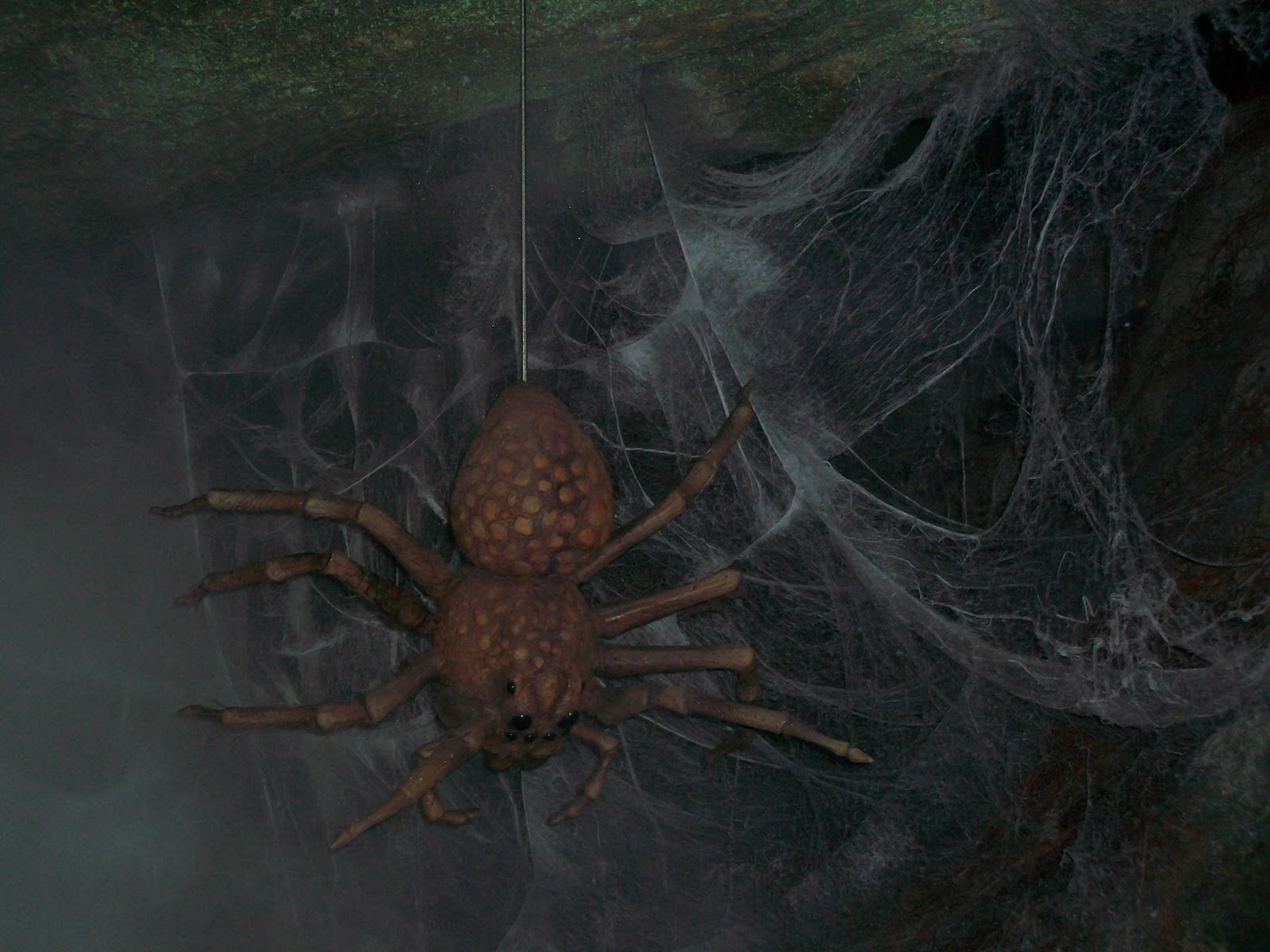 a spot of whimsy: potter watch: part I