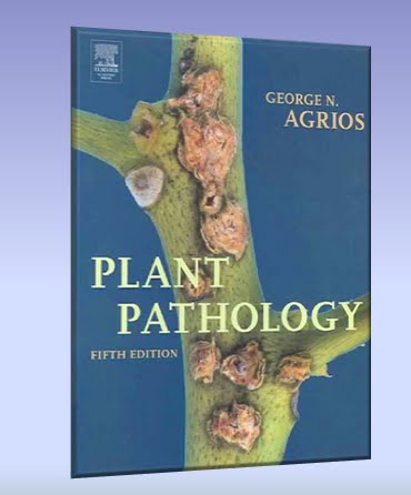 EL AGRONÓMICO