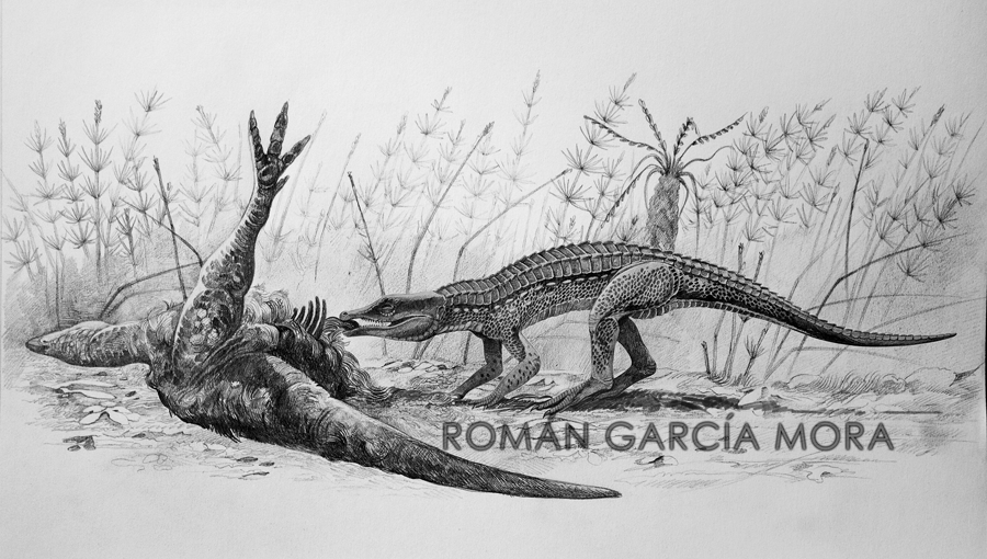 Román García Mora: ILUSTRACIÓN CIENTÍFICA Y PALEOILUSTRACIÓN