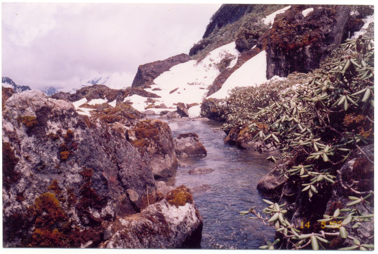 IN THE CRADLE OF DRUK YUL * * * * *: Kanglung...