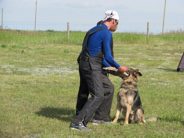 More on the Ivan Balabanov Schutzhund Seminar including a new Tracking ...