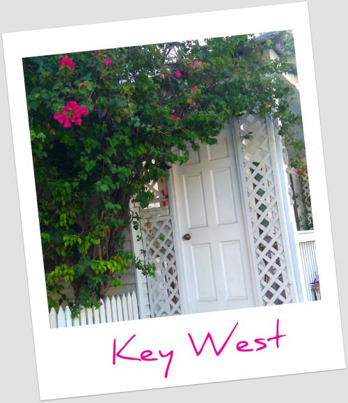 FOCAL POINT STYLING: KEY WEST: FRONT DOORS & PHOTOS FOR FRIDAY