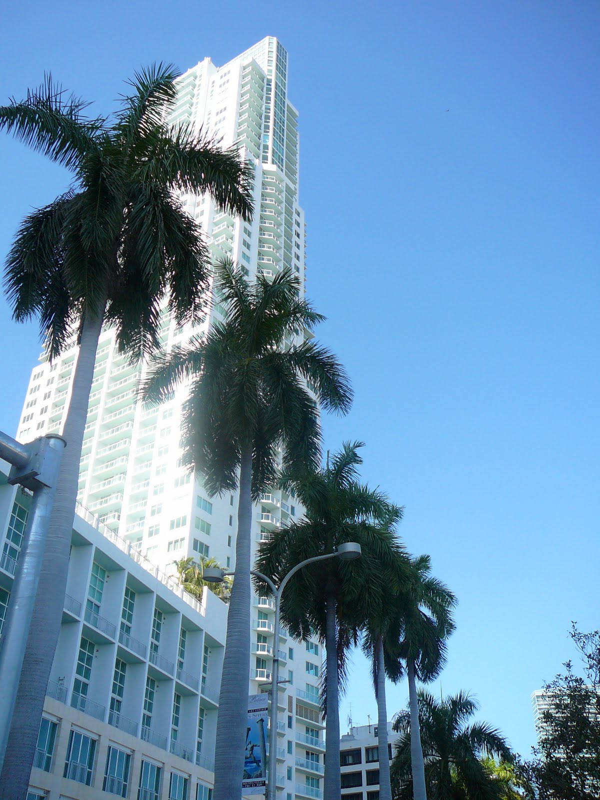 FOCAL POINT STYLING: COLOR MAKES A SPLASH IN MIAMI!