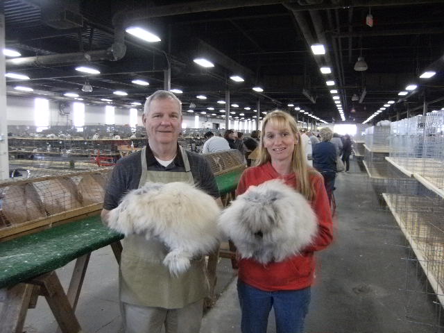 Bunny Blog: Kentucky State Rabbit Breeders Association show