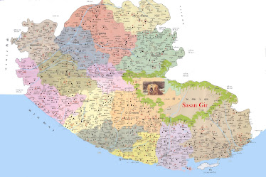 Renish Nasit: My favorite place in Gir forest national park - Asiatic lion