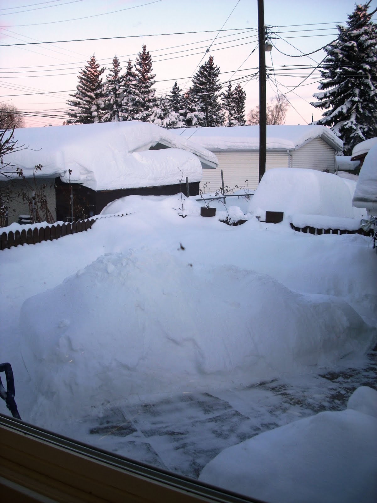 Sunday Ramblings and Pics of Sammy & Snow, Snow, Snow | Peeking Between ...