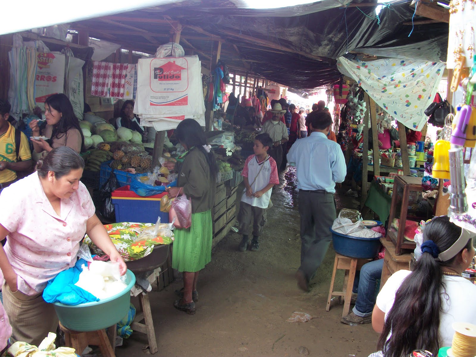Vaya Pues: A Honduran Meal: From the Market to the Dinner Table