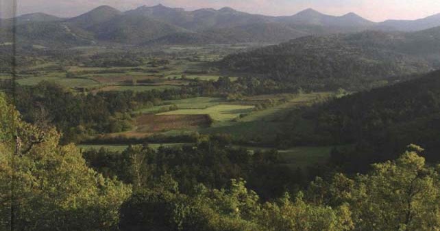 New book about Dadia reserve in Greece