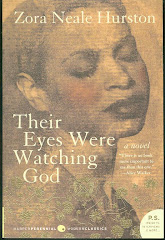 The evolution of African American literature