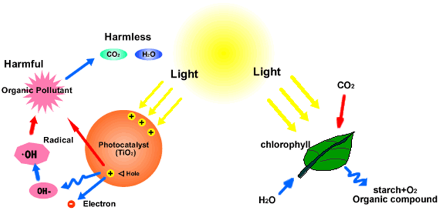 naturalscience: Fotokatalitik TiO2