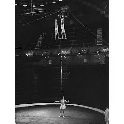 ..Circus Anonymous..: ....Perch Acts....