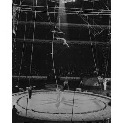 ..Circus Anonymous..: ....Perch Acts....