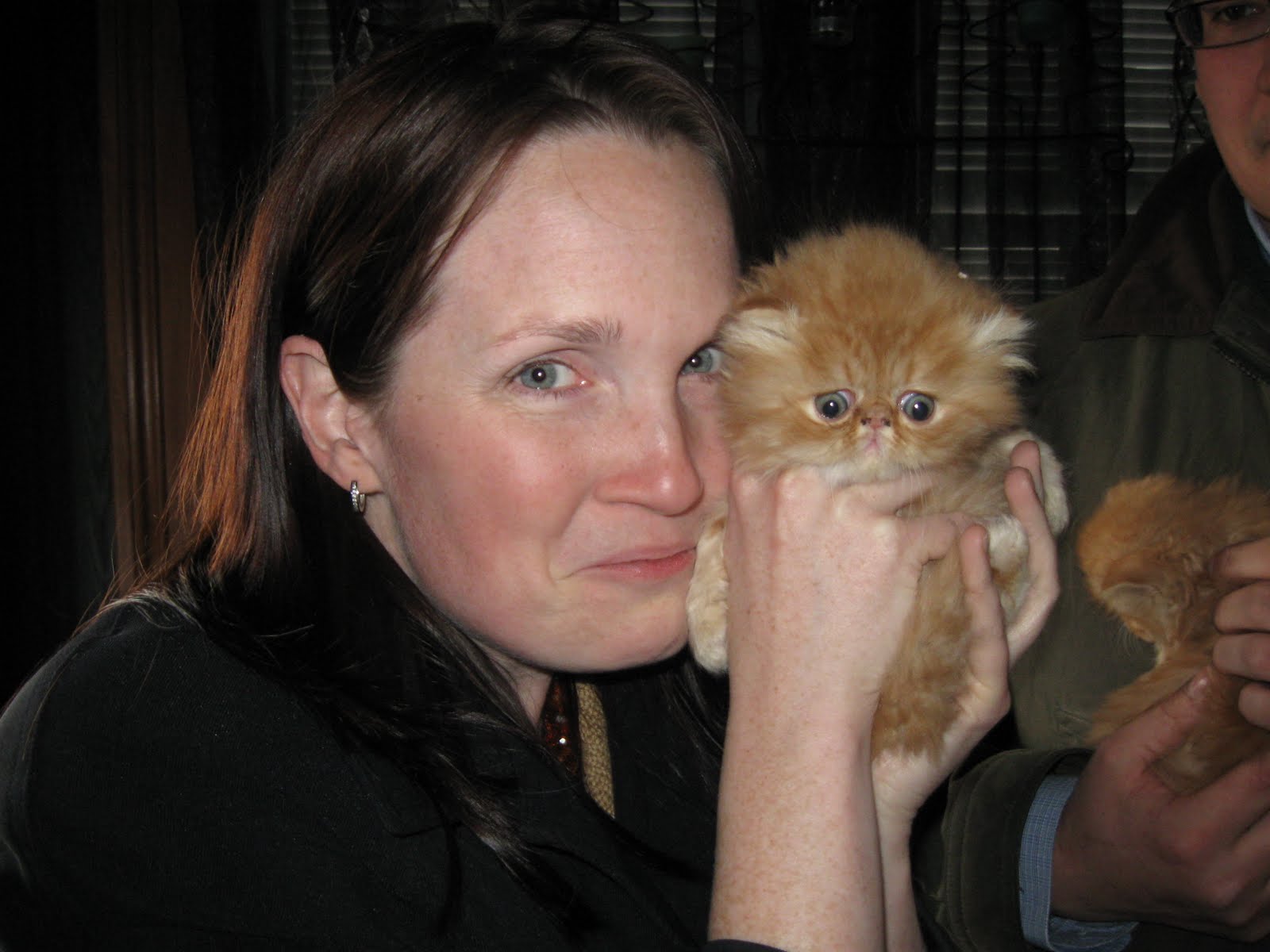 Simply Rose Himalayans & a Persian: Mark Pentland and Gillian Austin visit