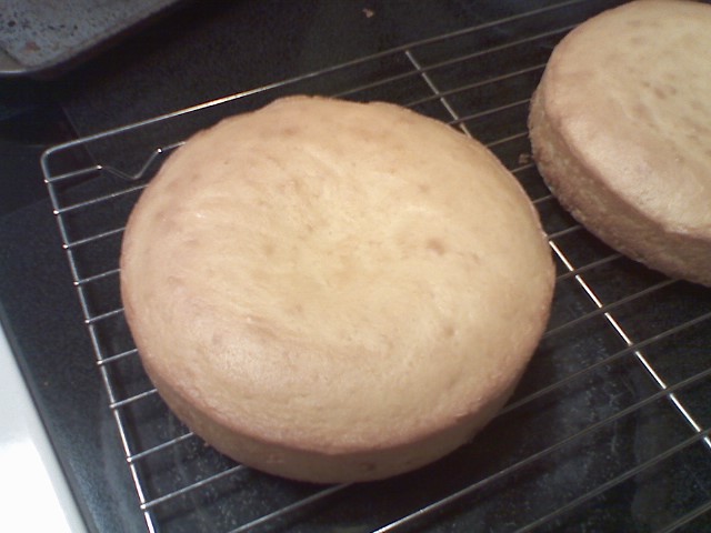 Beautifully Embellished Cakes: Form Cakes and Other Fakes (Interruption ...