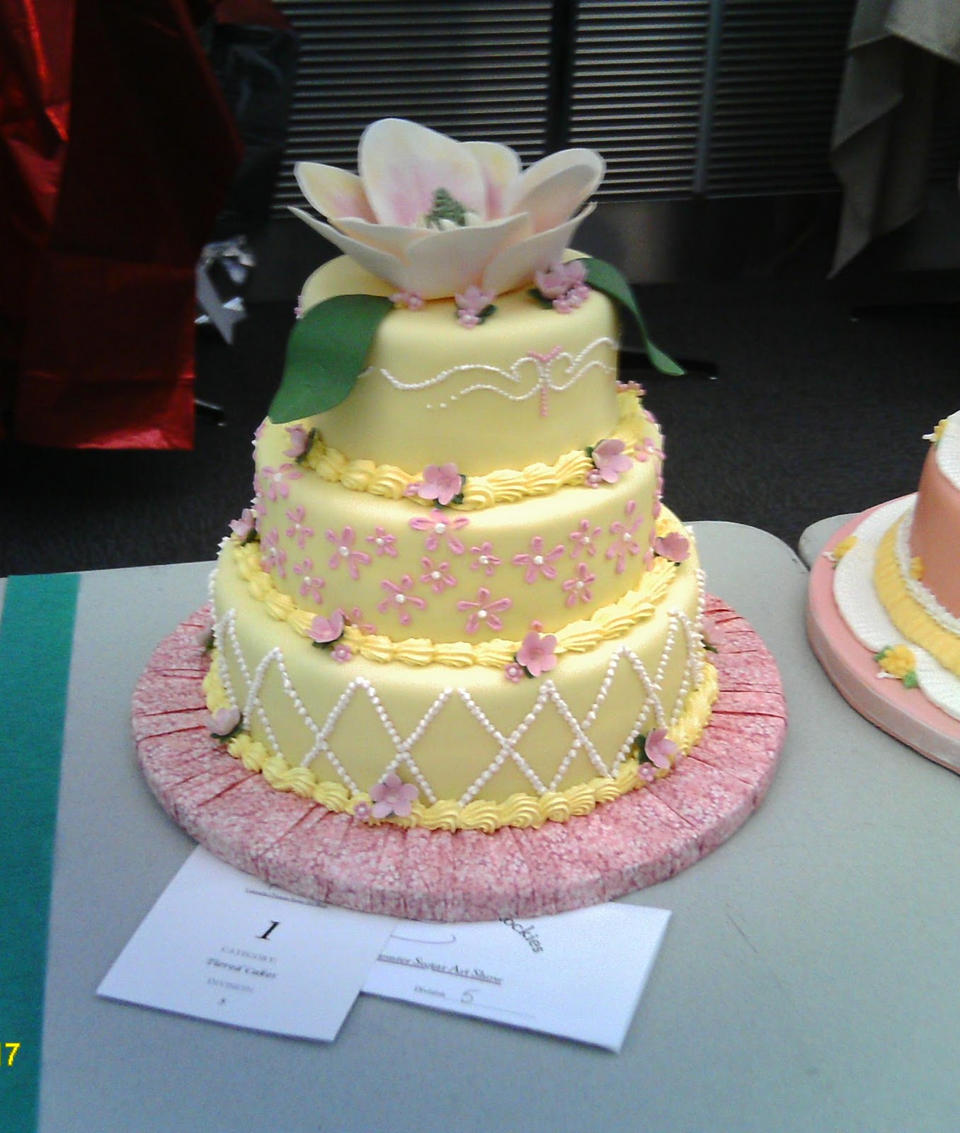 Beautifully Embellished Cakes: The Competition Cakes