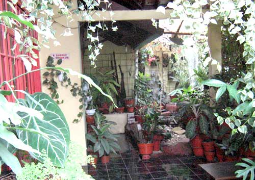 Ini Dia! 16+ Cara Menata Tanaman Bunga Di Teras Rumah yang Wajib ...