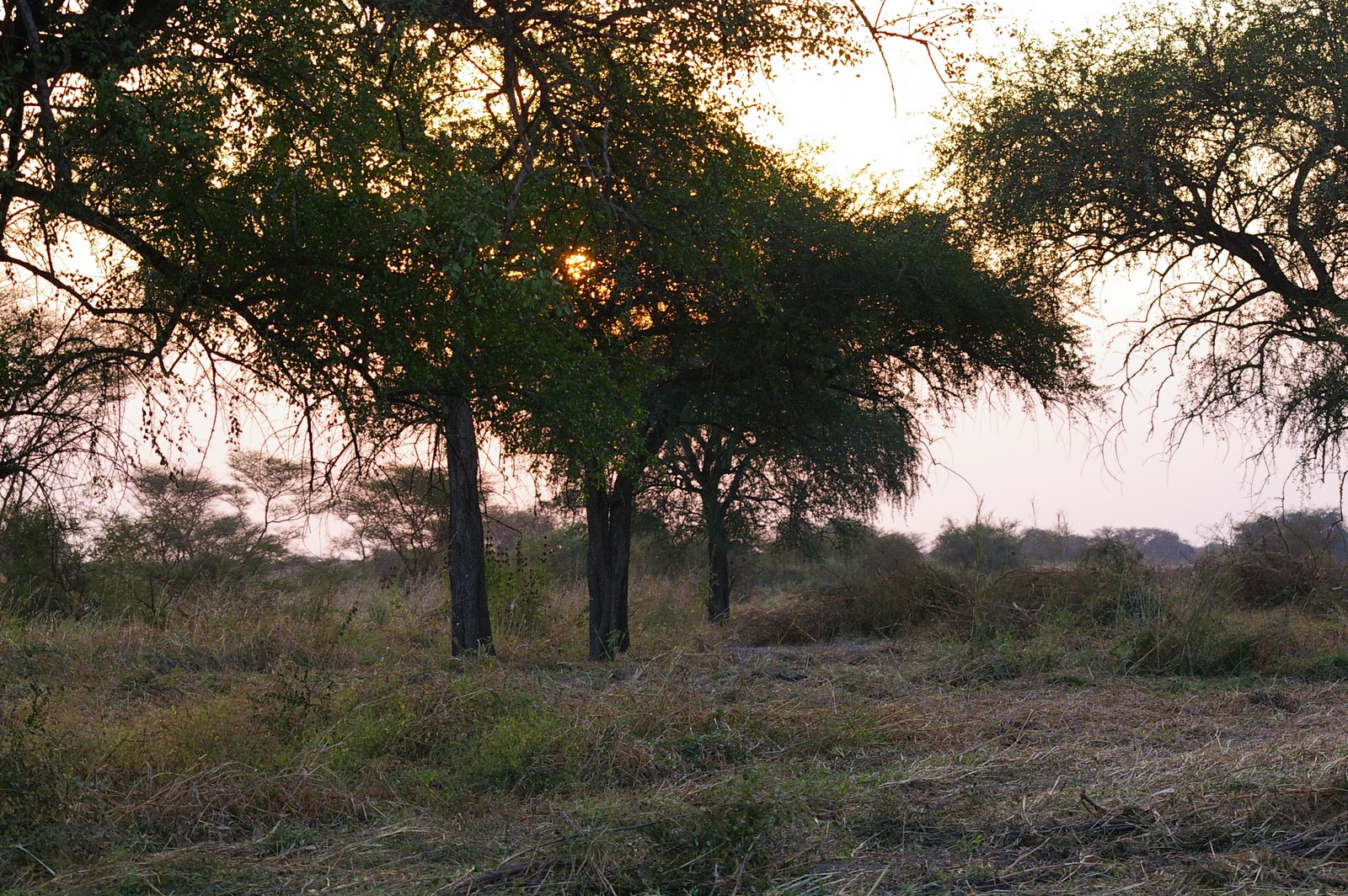 FunnoTs' World: November 2010