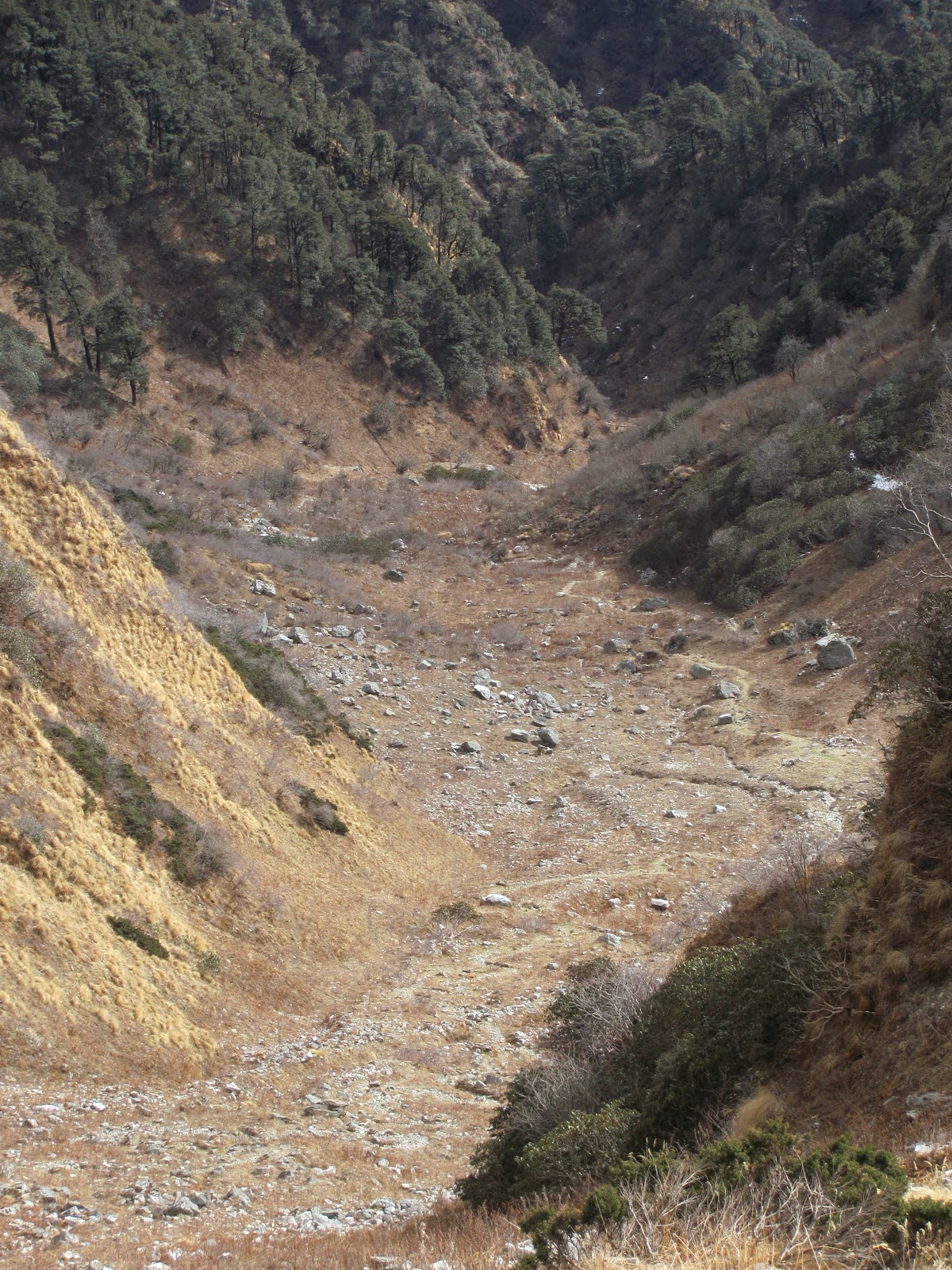 Doditaal-Darwa Top Trek: The Trek Details.....
