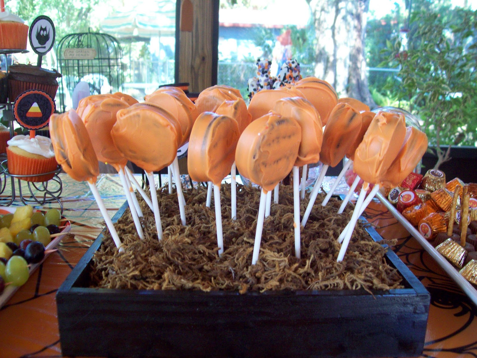 lizard & ladybug: Halloween Carnival (the sweets and treats)