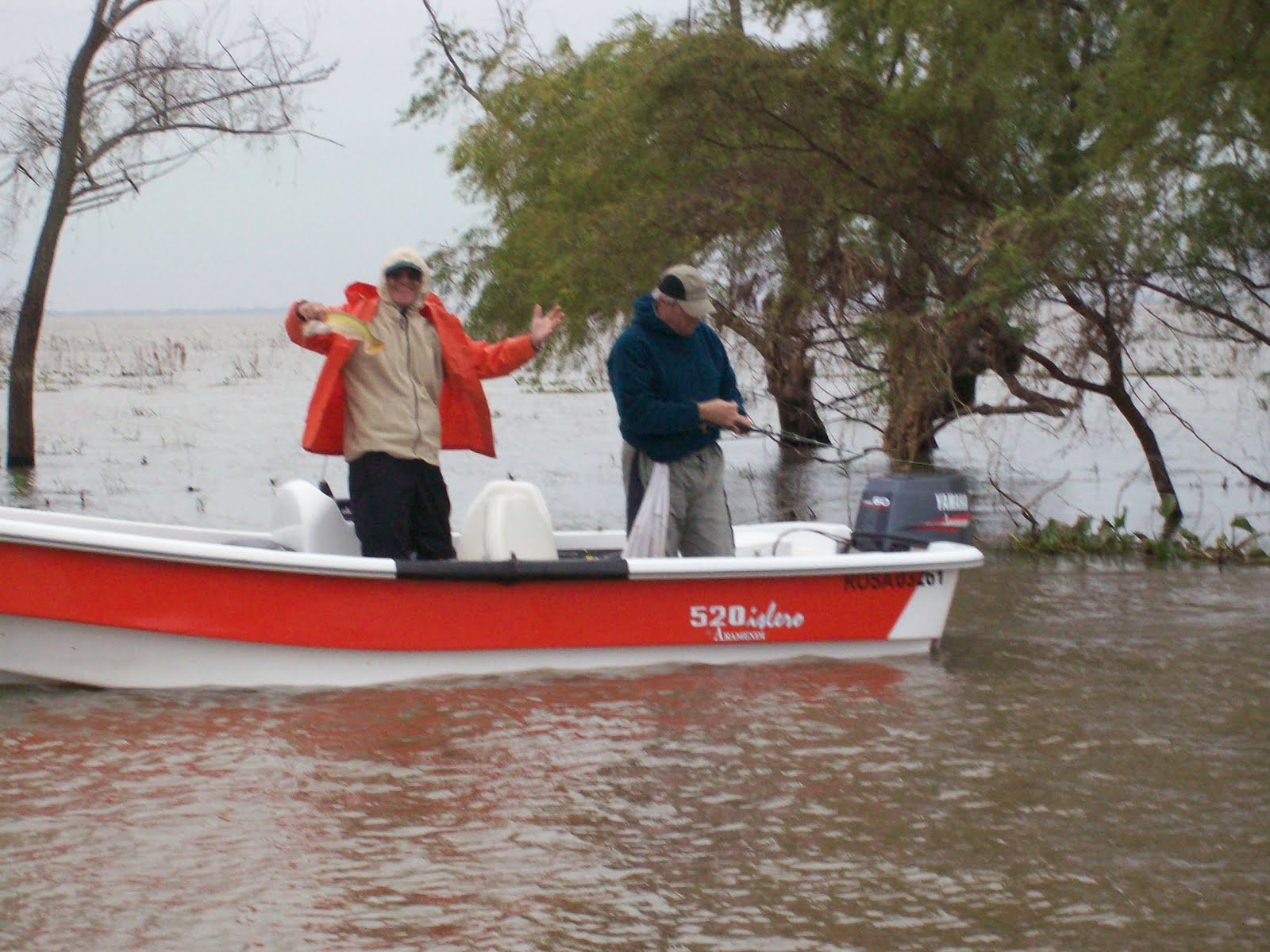 PESCANDO CON HIRAM : Record de surubies...