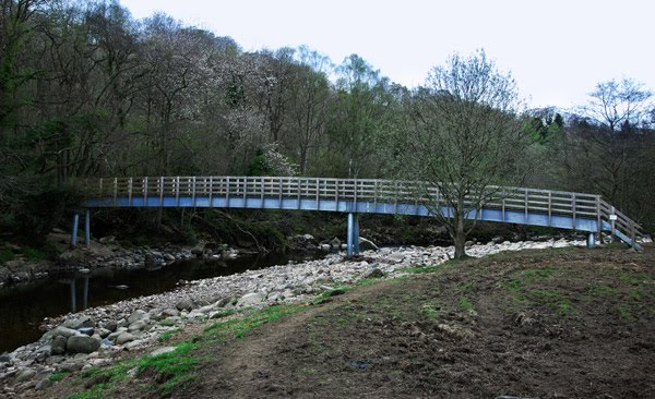 Hadrian's Wall Blog: Allen Banks - Just off the Wall but oh dear me!