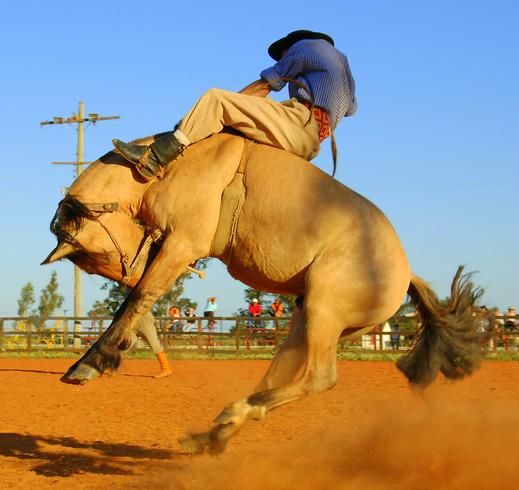 Guia da Bombacha: Ginetes - Jinetes (Gineteadas/Jineteadas)