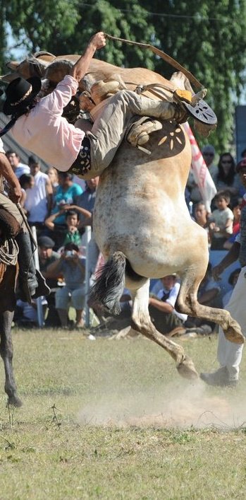 Guia da Bombacha: Ginetes - Jinetes (Gineteadas/Jineteadas)