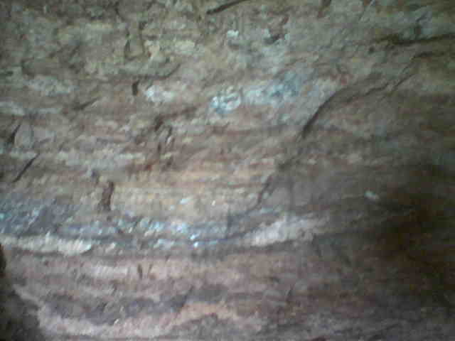 INFO GUANO PHOSPHAT: GUANO ROCK PHOSPHAT FROM JAVA