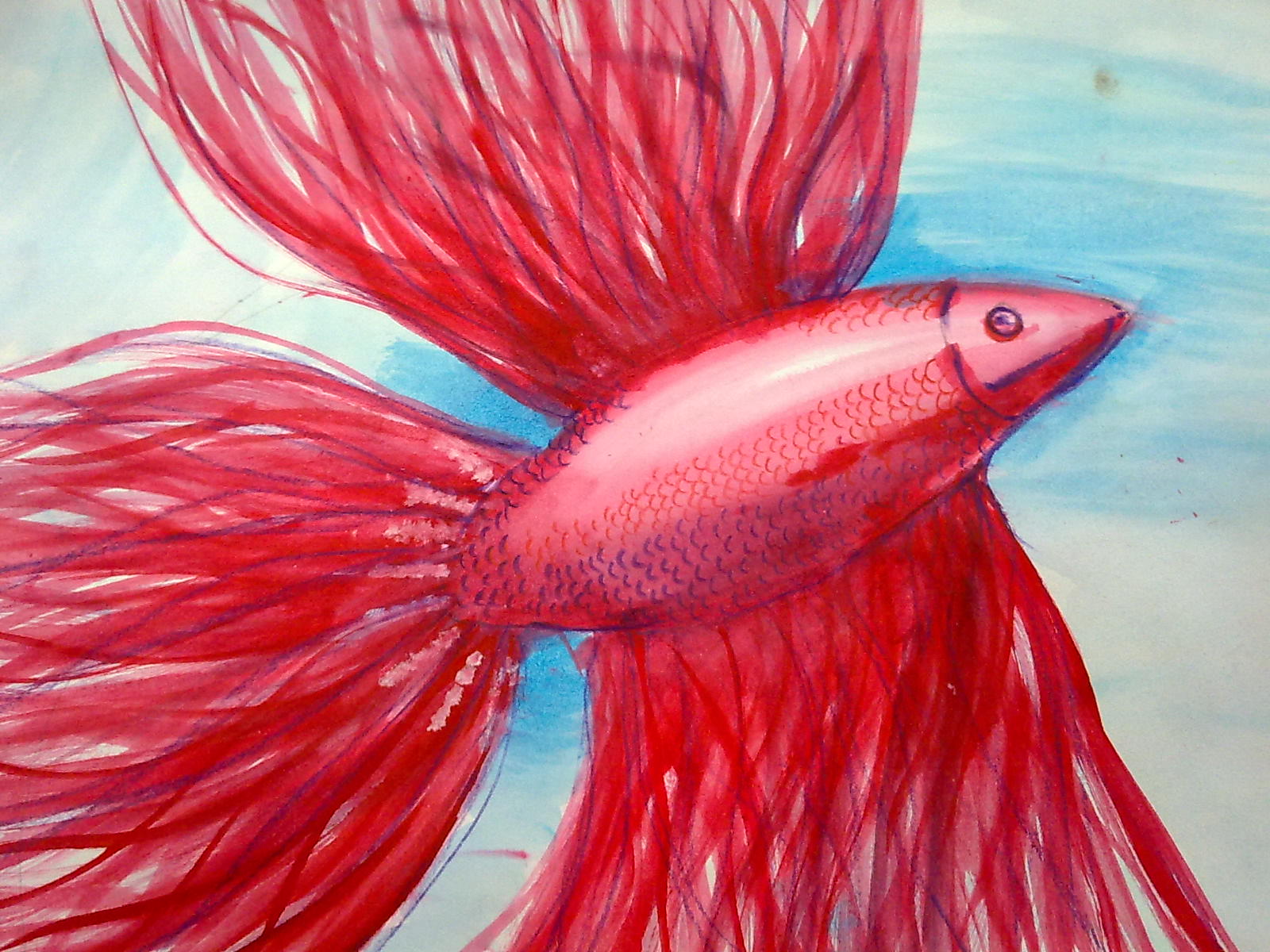 Panitia Seni Visual SMKTAR: Contoh Hasil Karya kertas seni halus SPM 2010