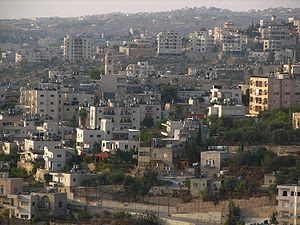 Lessons From The Land: Beit Jala and the Valley of Elah