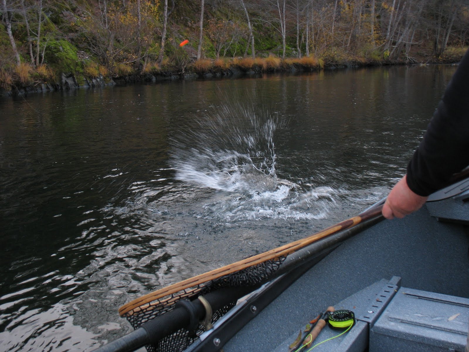 Fly Fishing Traditions: Trinity River Steelhead