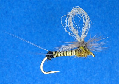 Fly Fishing Traditions: Blue Wing Olive "Baetis" Fly Patterns
