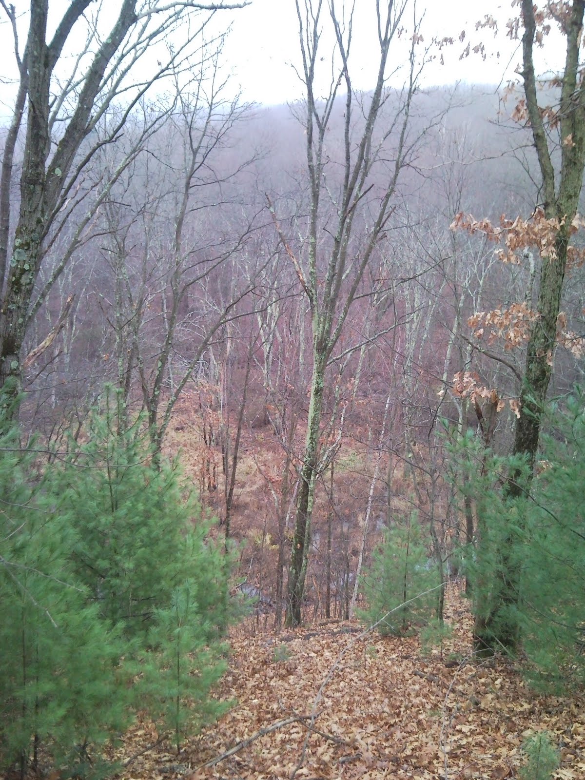 Vampir Metrou Blog: The Vernon Tunnel, Tunnel Road, Vernon CT & The ...