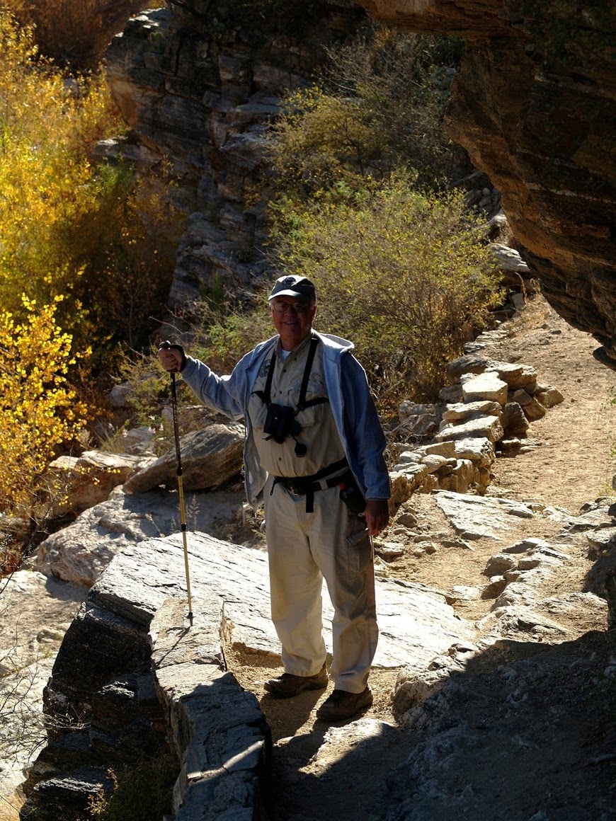 Arizona: Beetles, Bugs, Birds and more: A Different Kind of Hawk