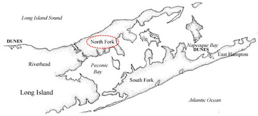 The North Fork Newbie
