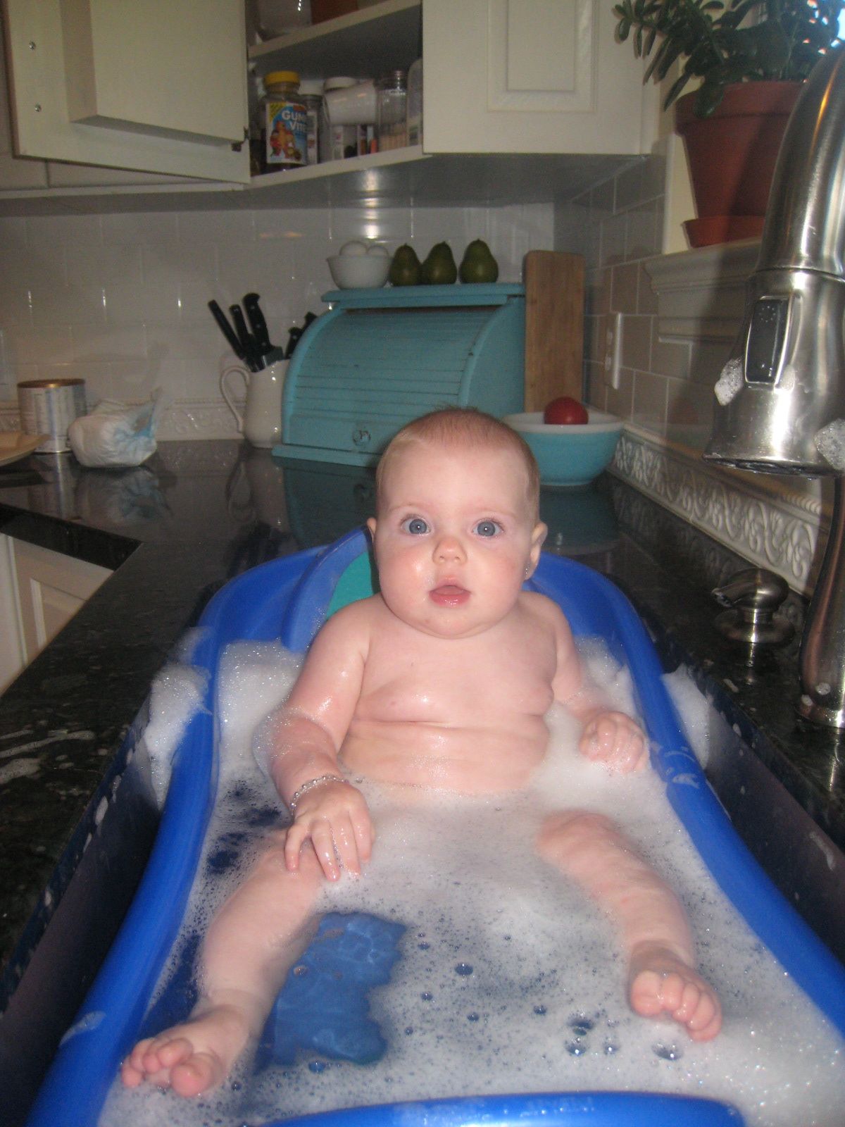 Adventures with Monkeys