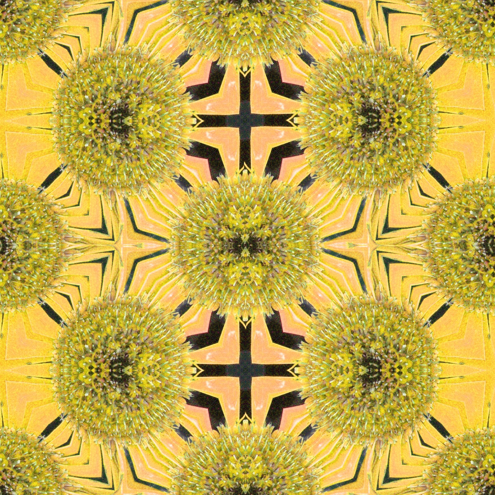 dighital imaging: kaleidoscope