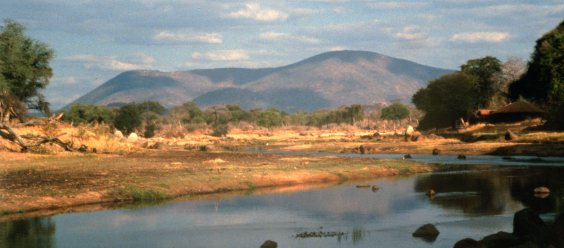 Around The Globe: Tanzania Destination