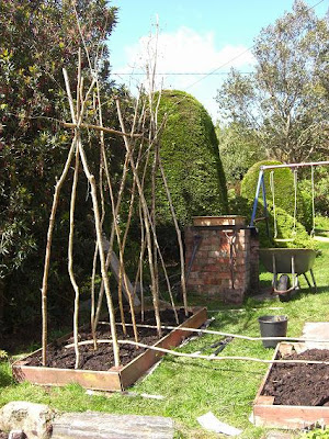 Gardening Matters: Bean supports