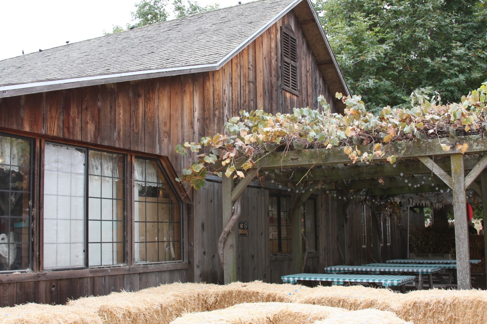 Dreamy Whites: Avila Valley Barn