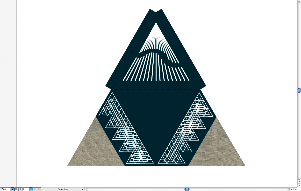 Design Practice: Nets on illustrator