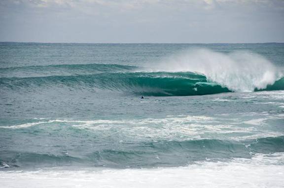 The Rockville 8: Swimming the Riptide: How to Write Through Crisis