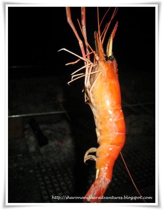 Sharon and her adventures...: My First Prawning Experience