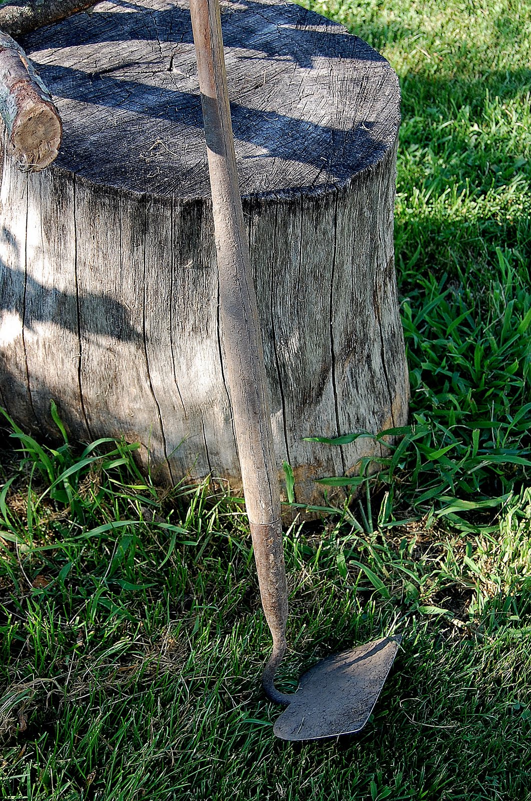 Crosswinds Farm: Garden woes and a garden hoe