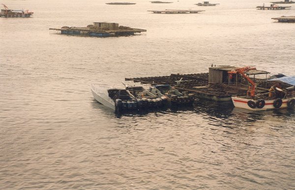 Historia del S.V.A.: Las planeadoras.