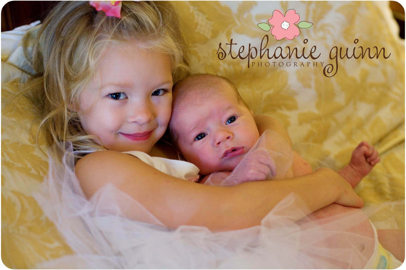 Stephanie Guinn Photography