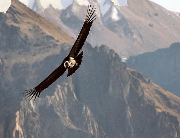 MÉRIDA POR TODO LO ALTO: Ven y disfruta con nosotros las mejores ...