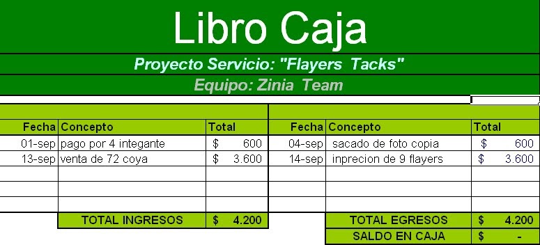 Zinia Team: Libro caja