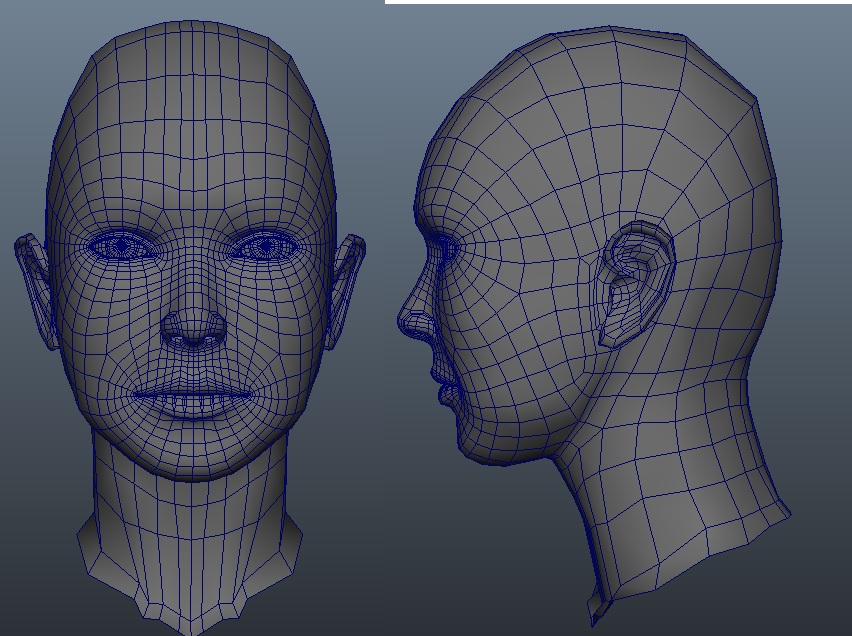 3d Topology Head